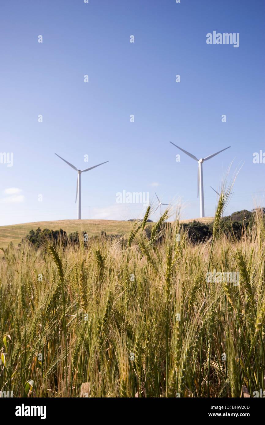 Wind Turbines, Countryside location, Europe, Renewables Stock Photo - Alamy