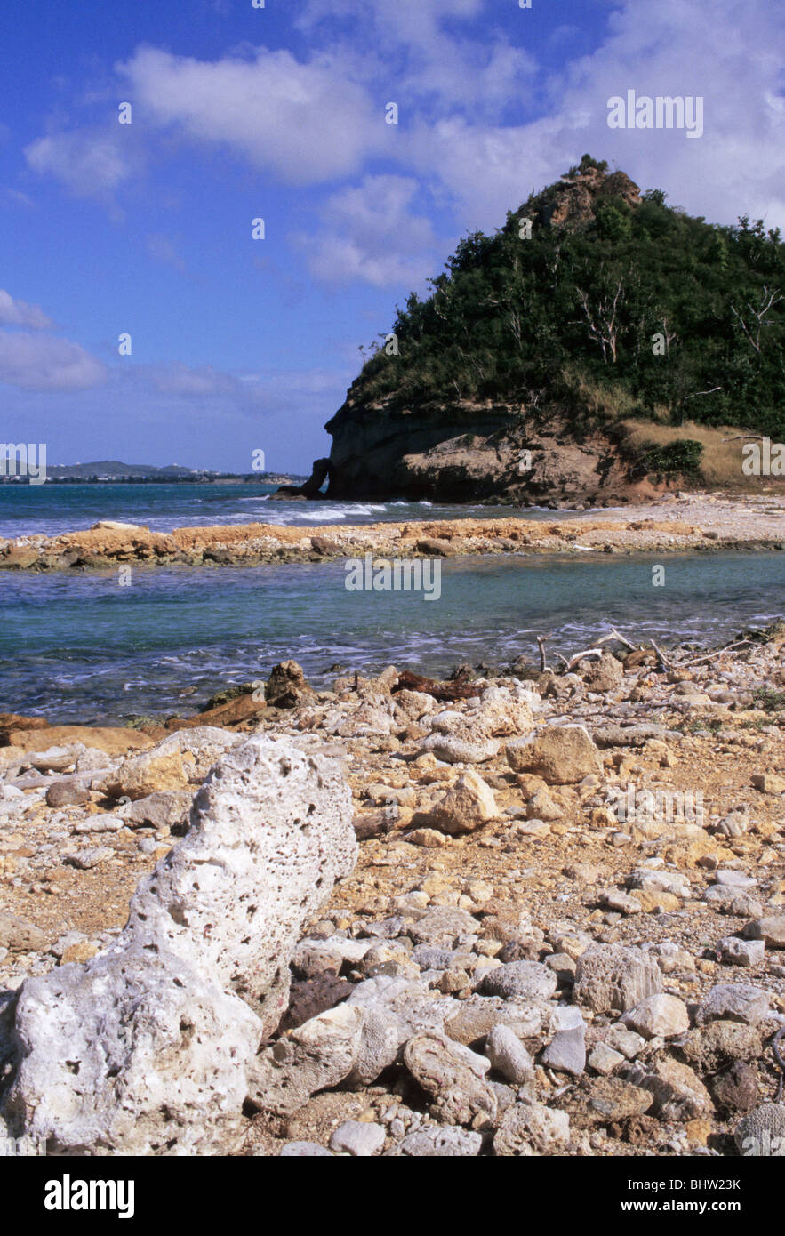 Deep bay antigua hi-res stock photography and images - Alamy