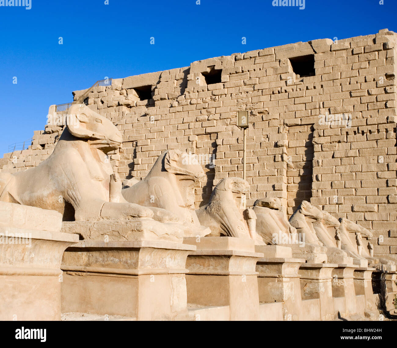 Ram statues at the temple of Karnak in Luxor, Egypt Stock Photo - Alamy