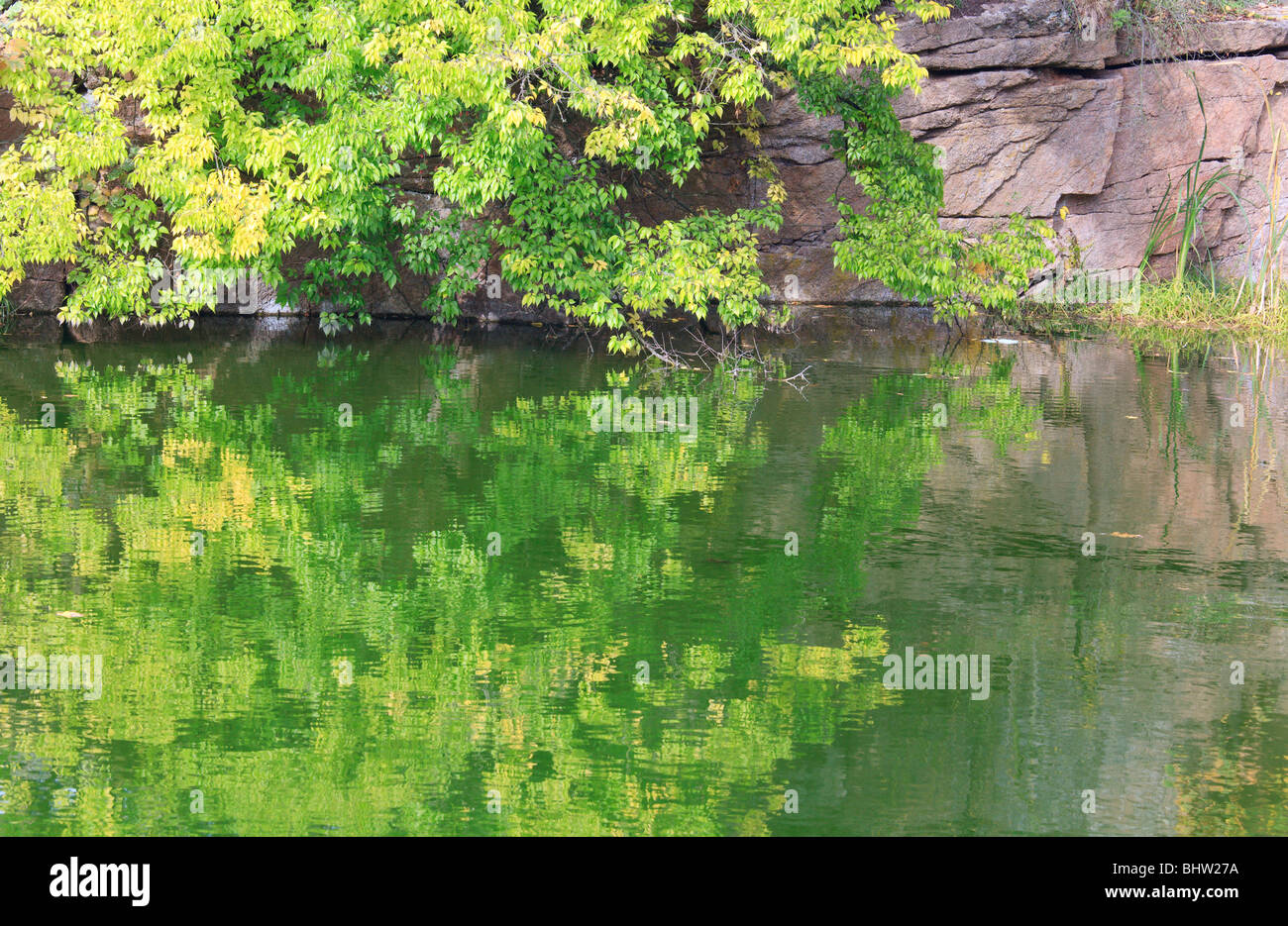 Pond water surface with reflection of colorful trees and rocky lakeside ...