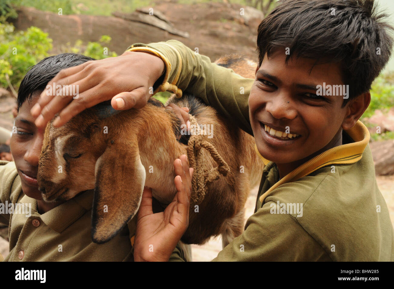 two boys with goat Stock Photo - Alamy