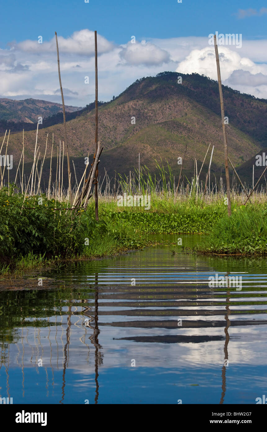 Floating gardens on Inle lake in Myanmar Stock Photo - Alamy