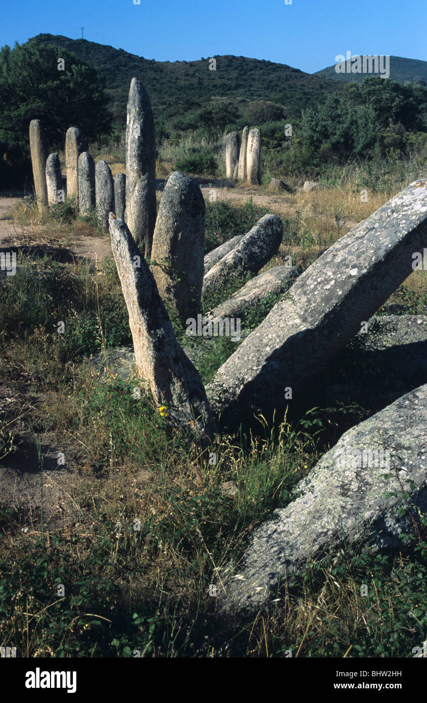 Standing Stones & Stone Alignment, Palaggiu, Le Sartenais, Corsica ...