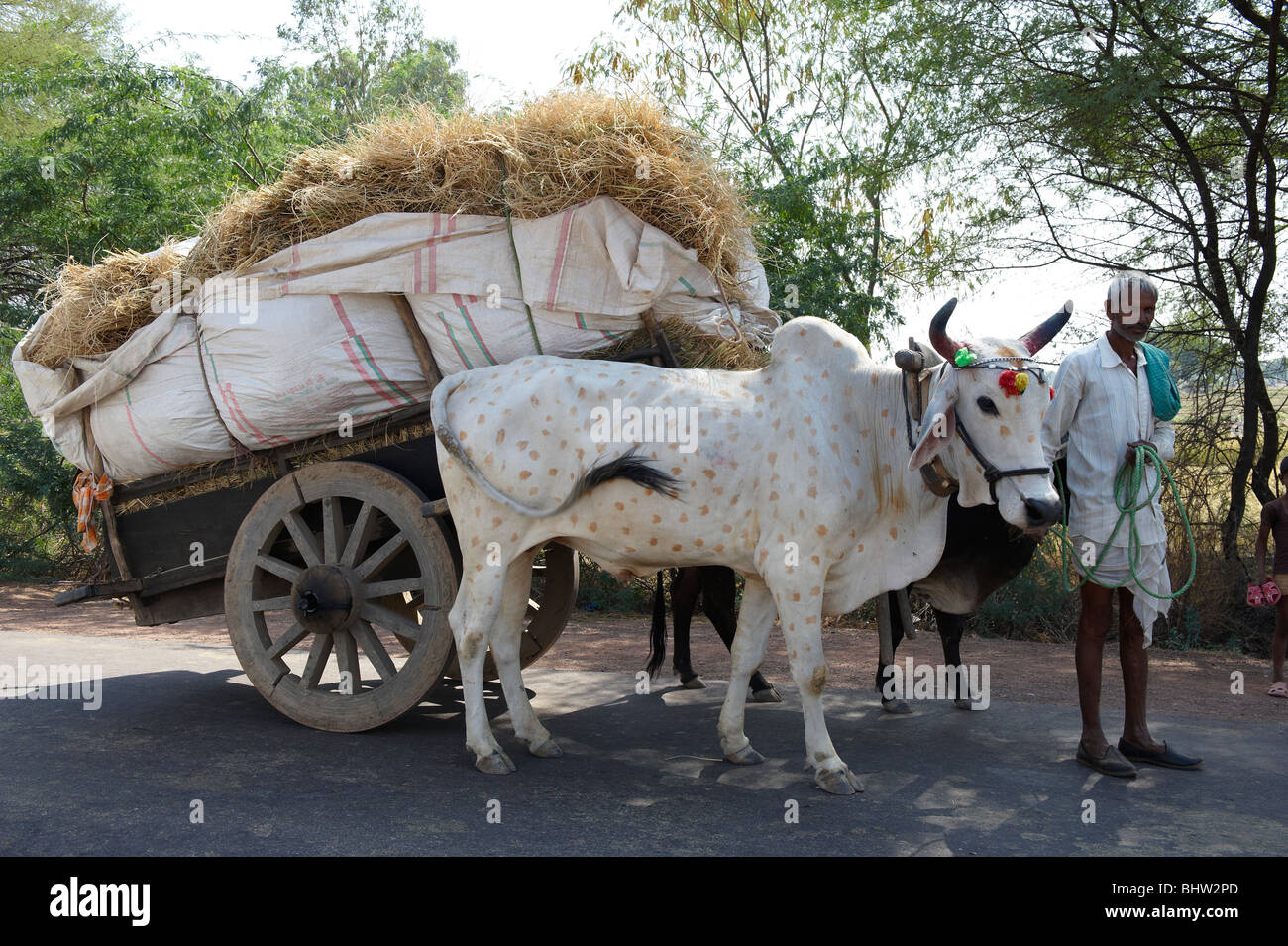 Ox Cart India High Resolution Stock Photography and Images - Alamy