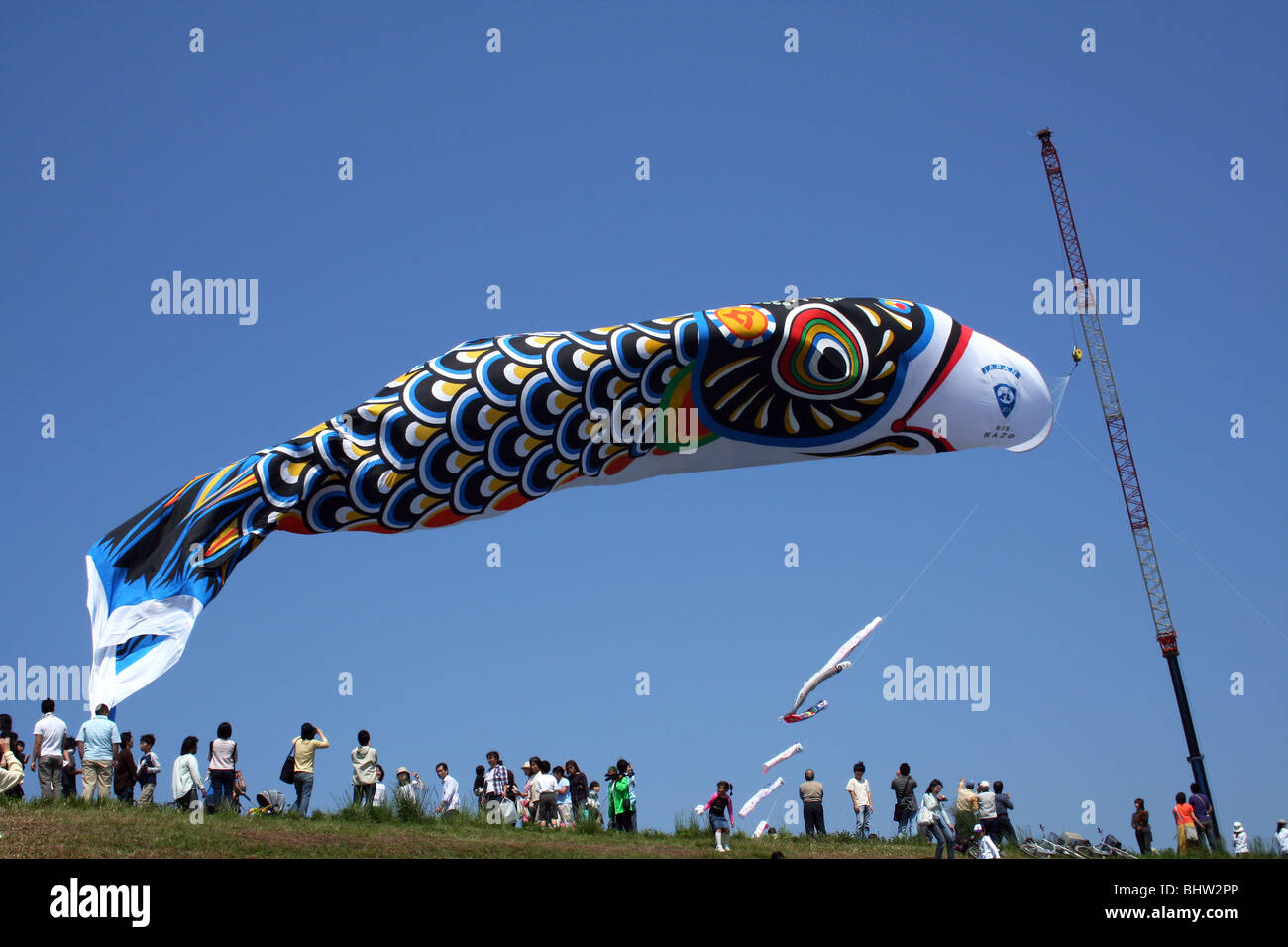 Jumbo koi hi-res stock photography and images - Alamy