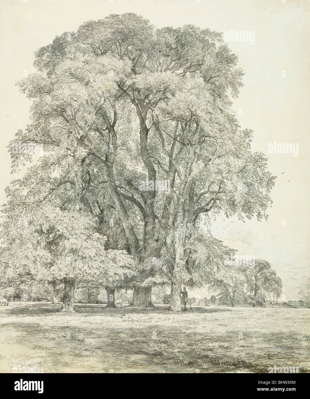 Pencil drawing landscape hi-res stock photography and images - Alamy