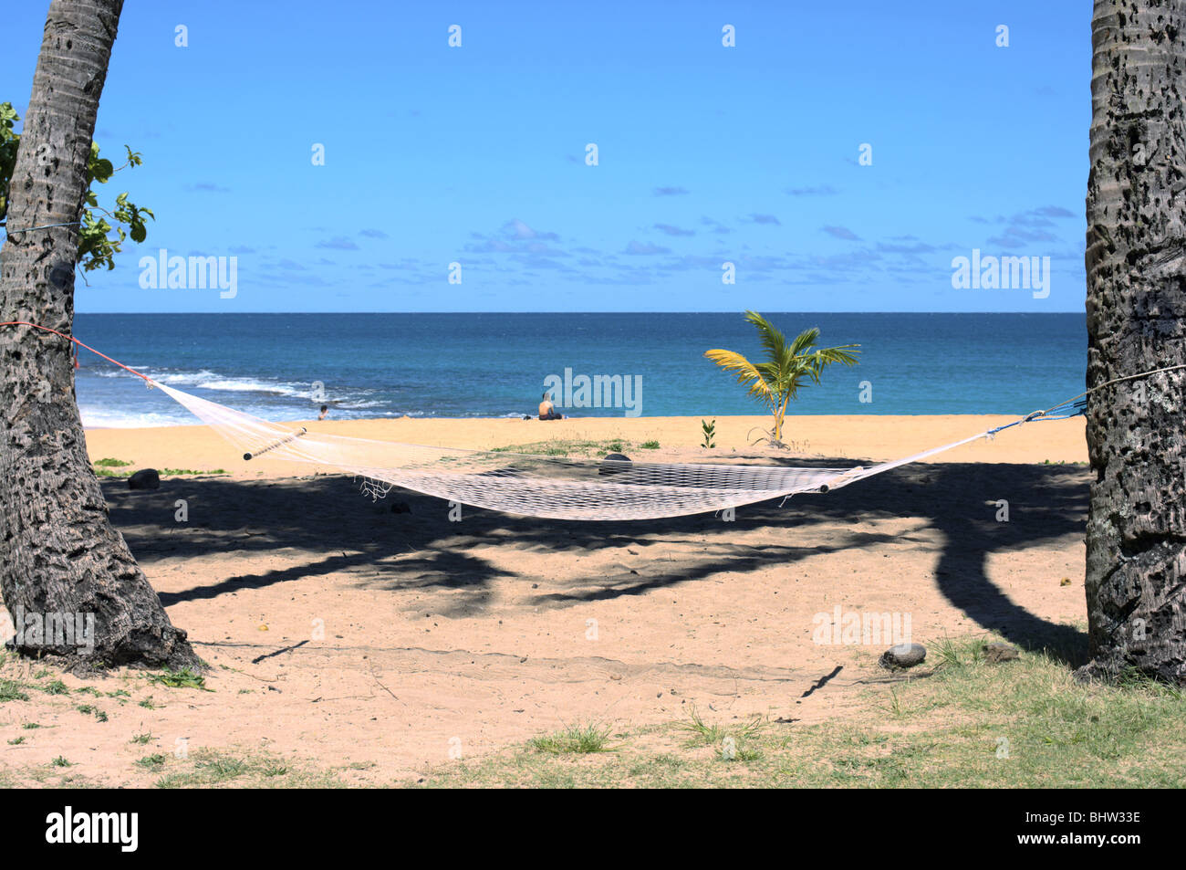 Hammock between two palm trees hi-res stock photography and images - Alamy