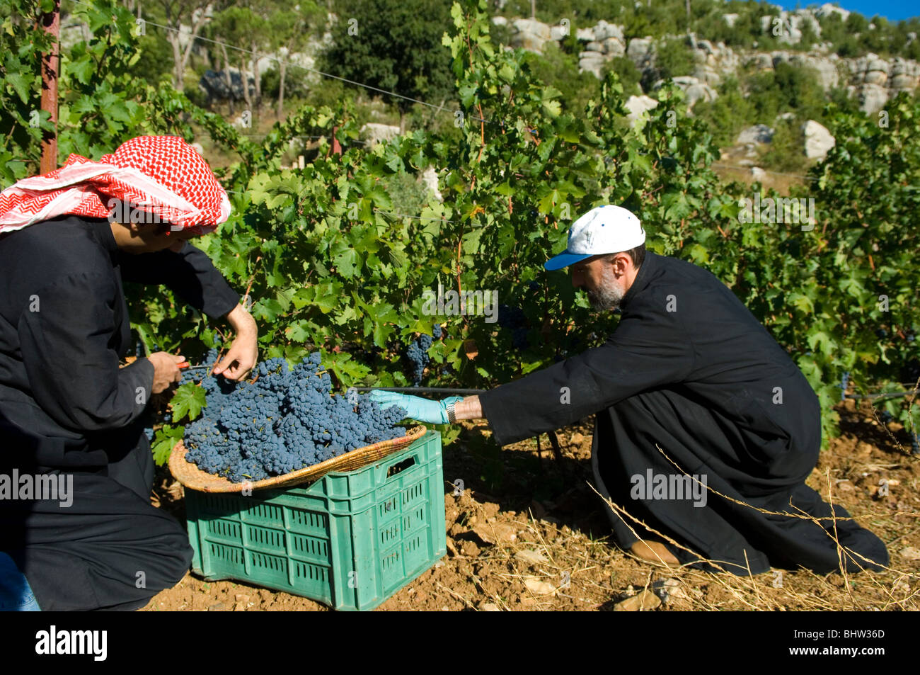 Lebanese farmers hi-res stock photography and images - Alamy