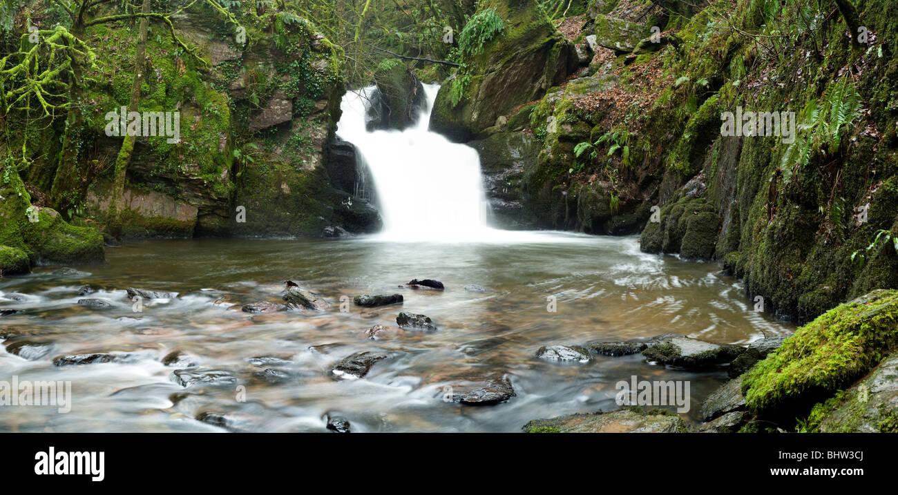waterfall and stream in woods, Ireland Stock Photo - Alamy