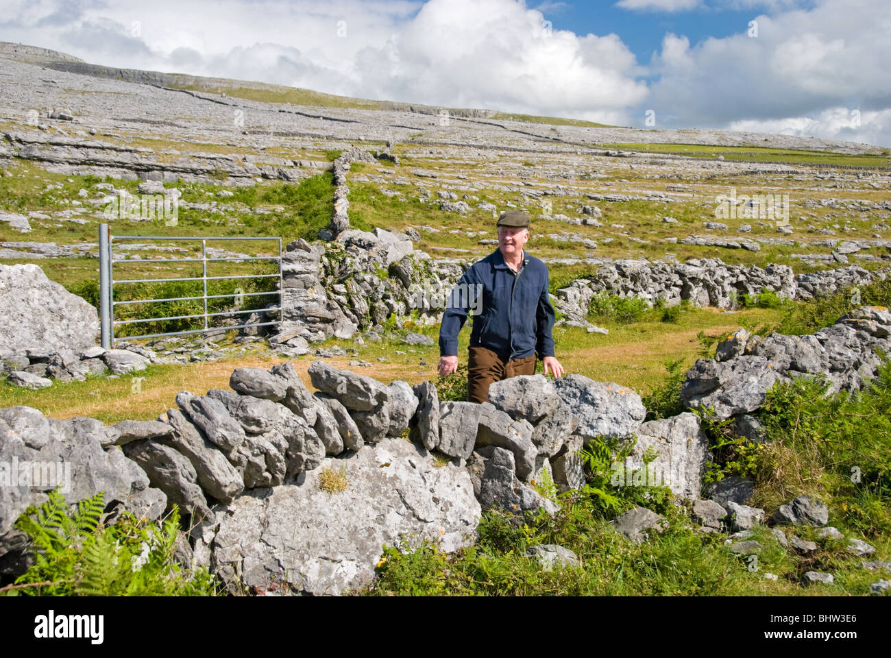 An Irish farmer keeping an eye on his stock in the Burren Stock Photo ...