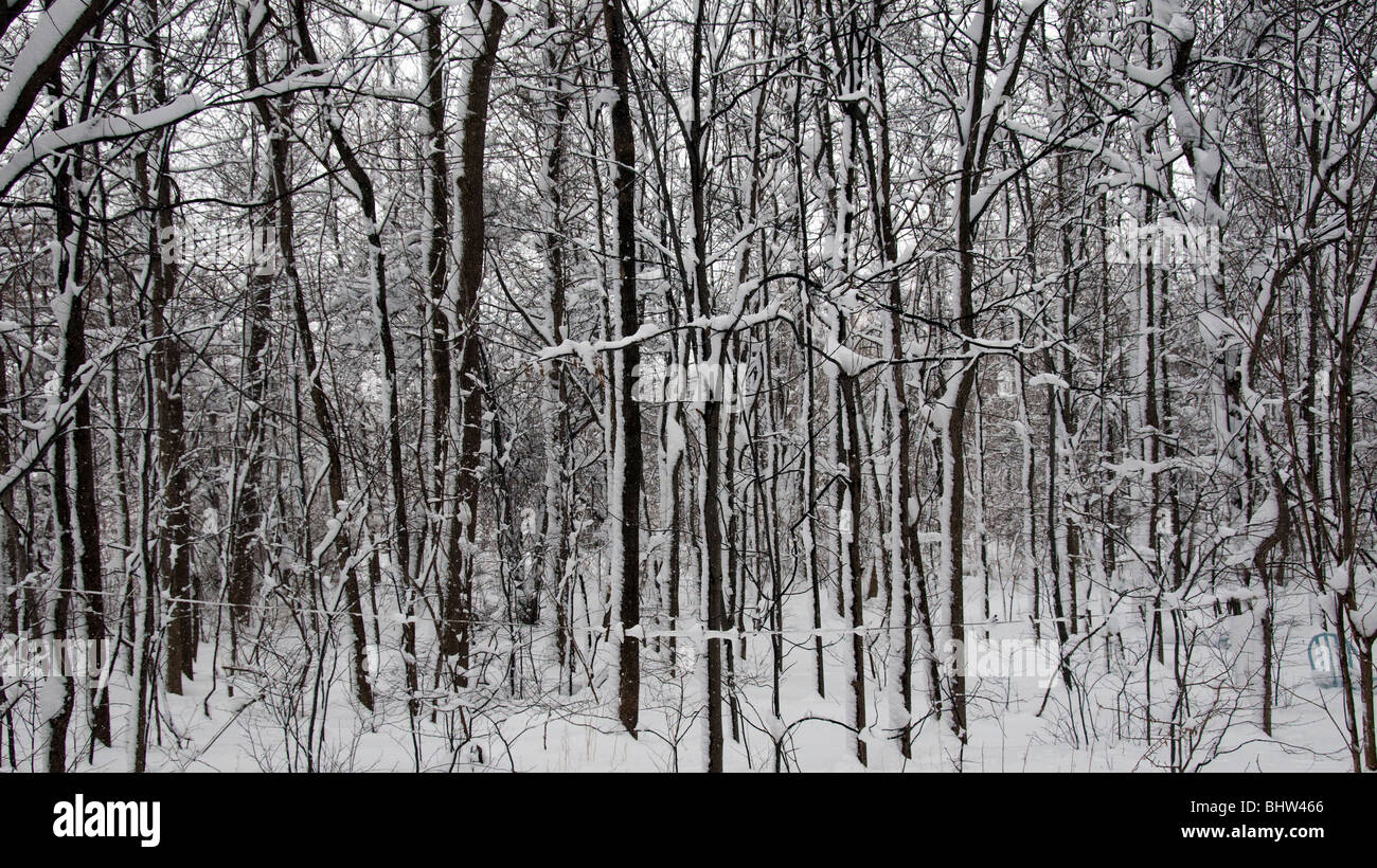 Frosty backyard hi-res stock photography and images - Alamy