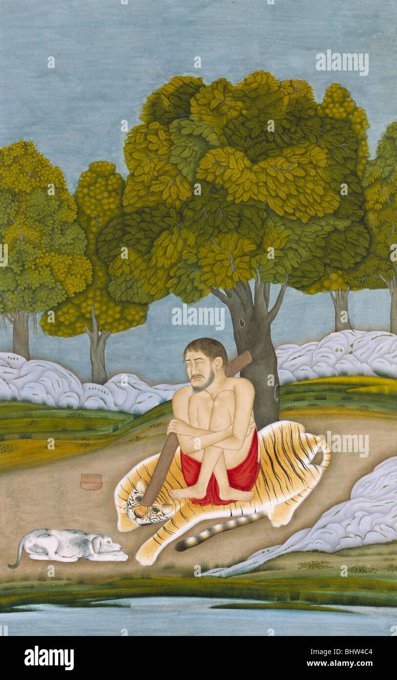 Seated tiger hi-res stock photography and images - Alamy