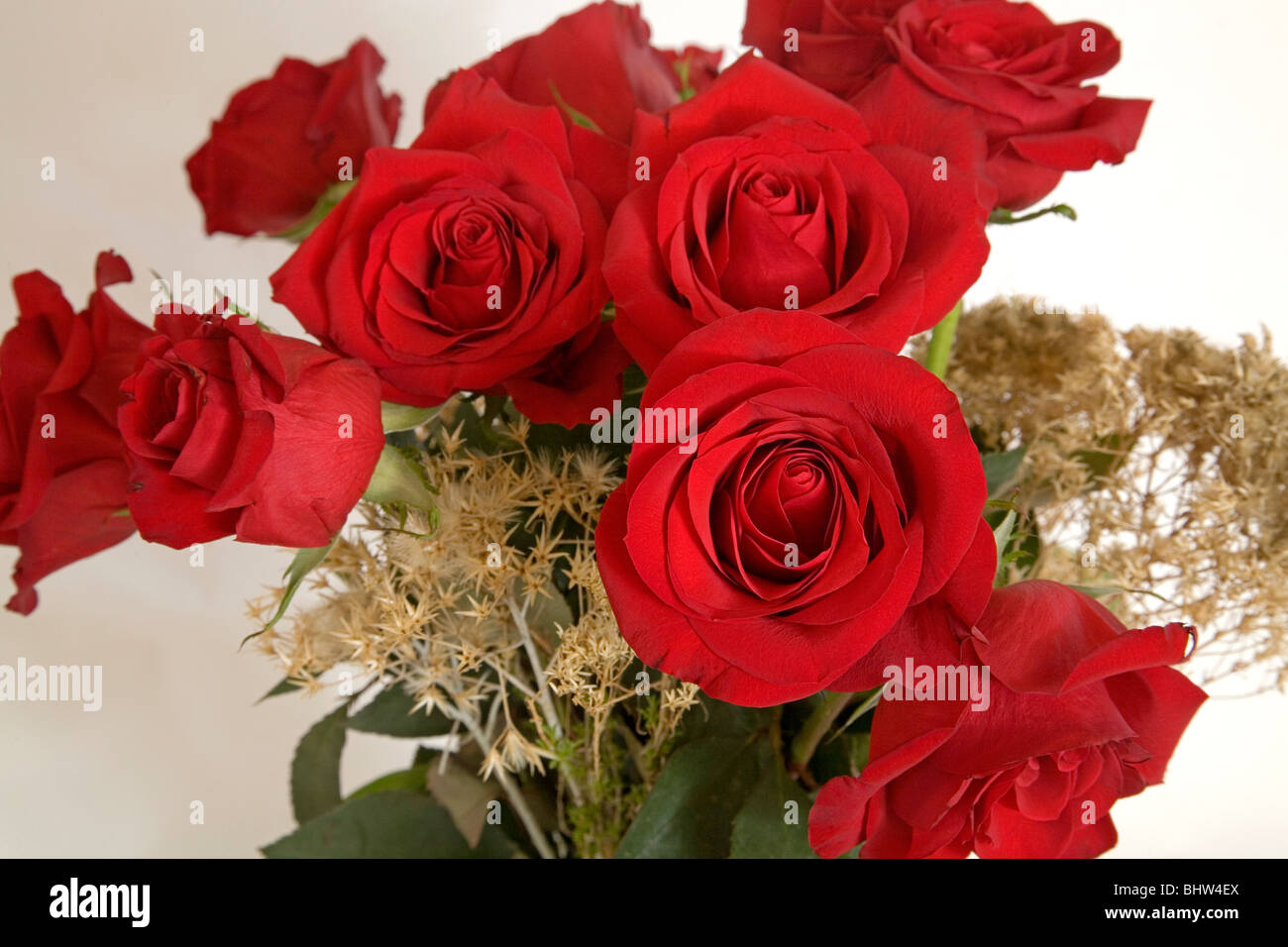 A bouquet of long stemmed red roses Stock Photo - Alamy