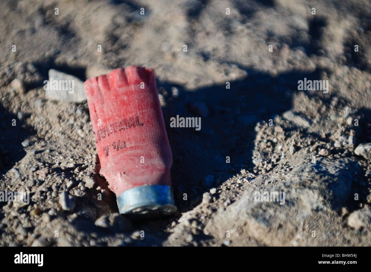 12 gauge shotgun hi-res stock photography and images - Alamy