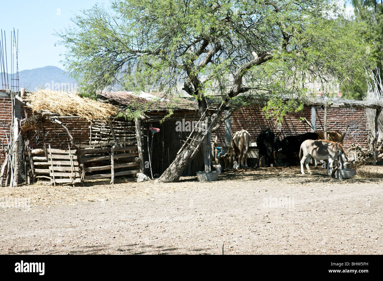 Farmyard scene hi-res stock photography and images - Alamy