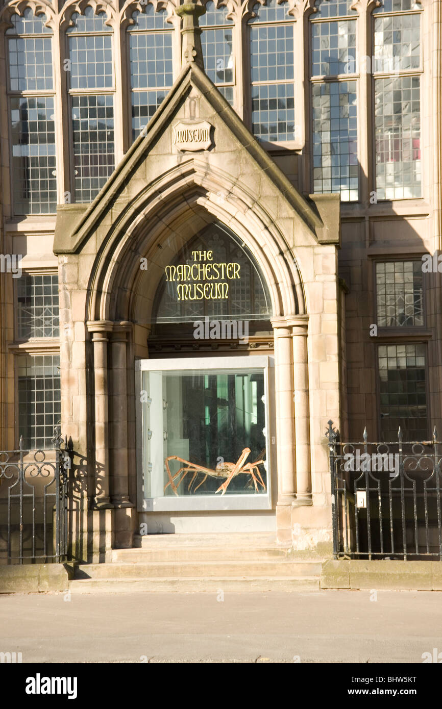 The Manchester Museum on Oxford Road in the University of Manchester ...