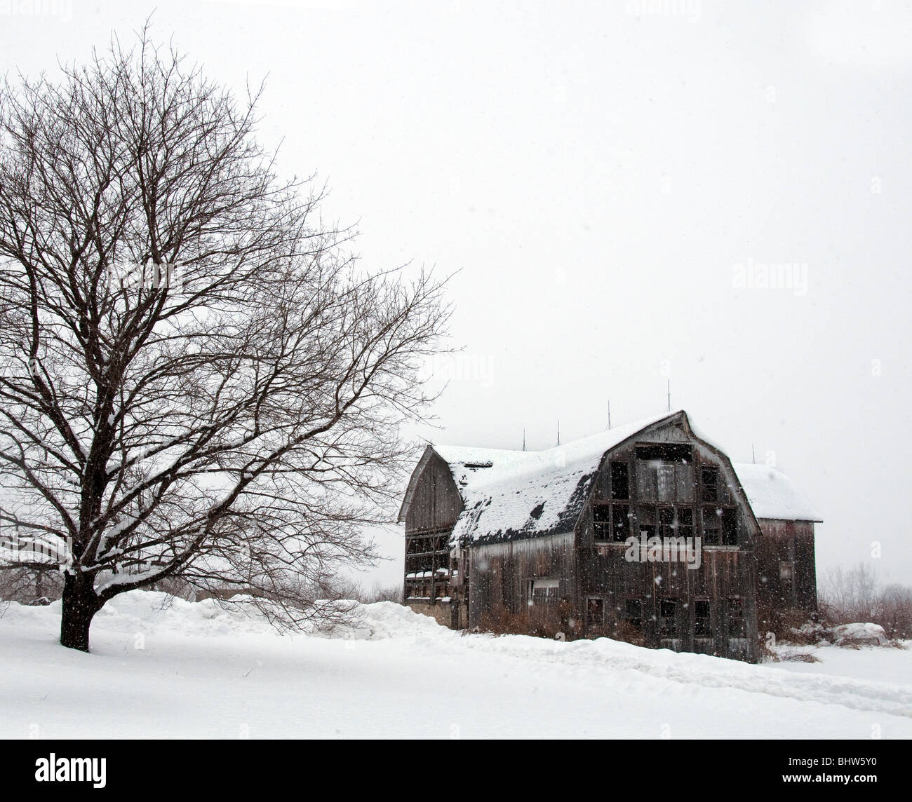 Winter scene with barn Stock Photo - Alamy