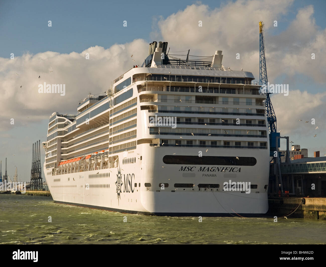 Msc magnifica hi-res stock photography and images - Alamy