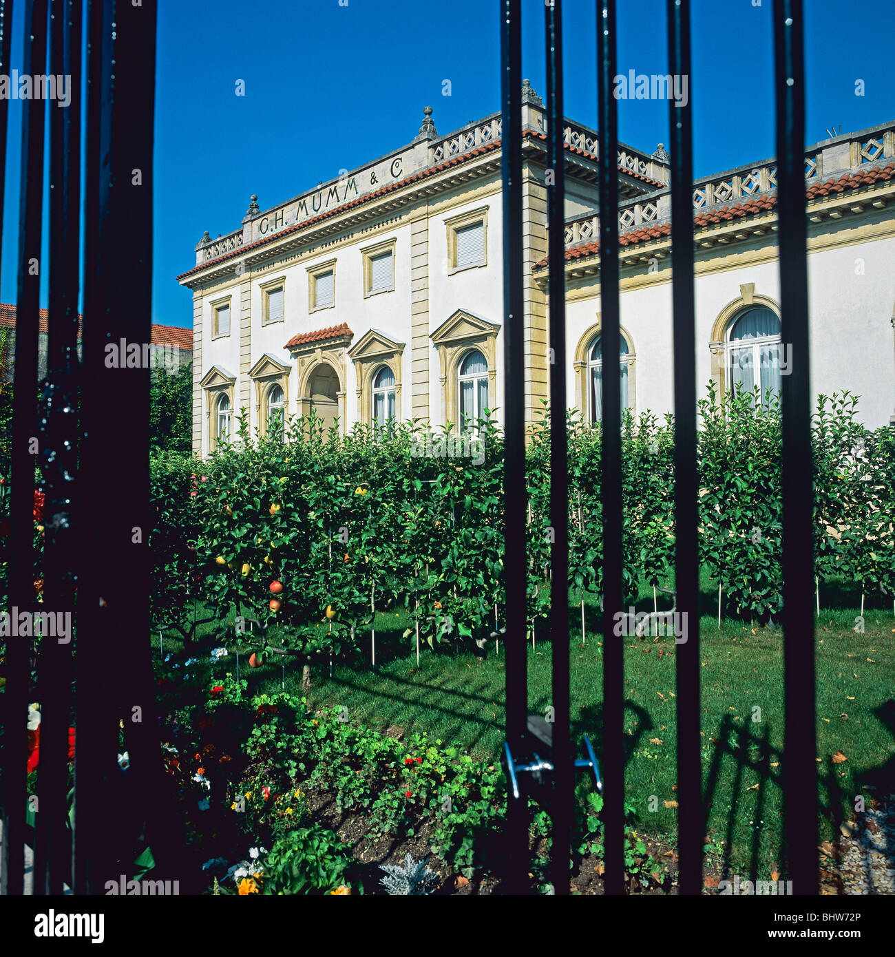 Ch mumm winery estate hi-res stock photography and images - Alamy