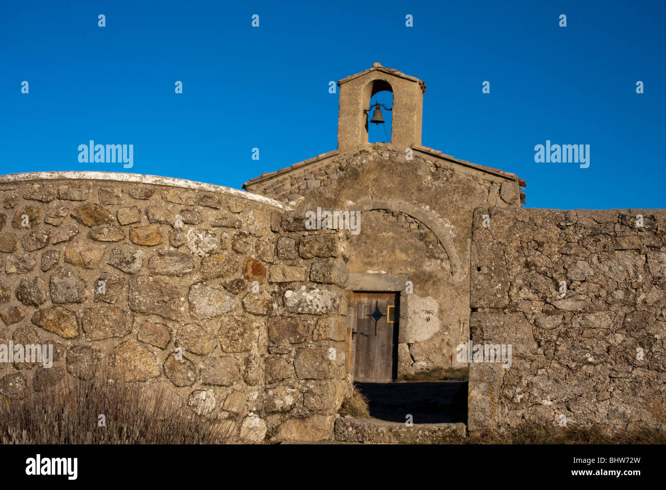 Lerps hi-res stock photography and images - Alamy