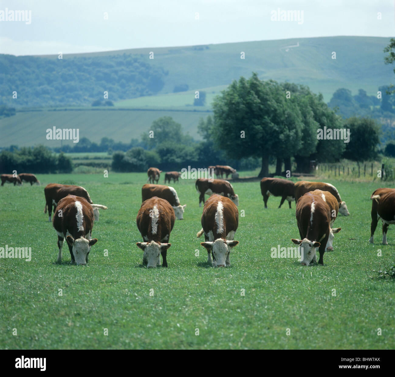 Uffington down hi-res stock photography and images - Alamy