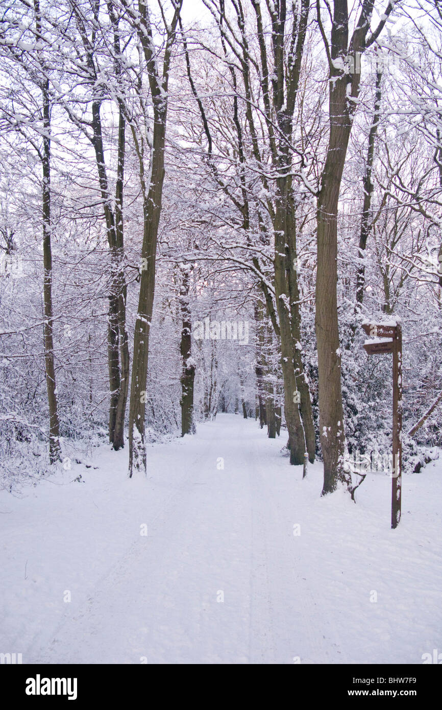 A snow covered path through woods Stock Photo - Alamy