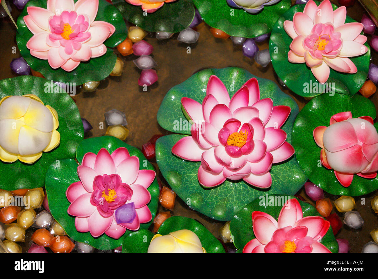 Plastic Lotus flowers in water Showing amazing graze in light Stock ...