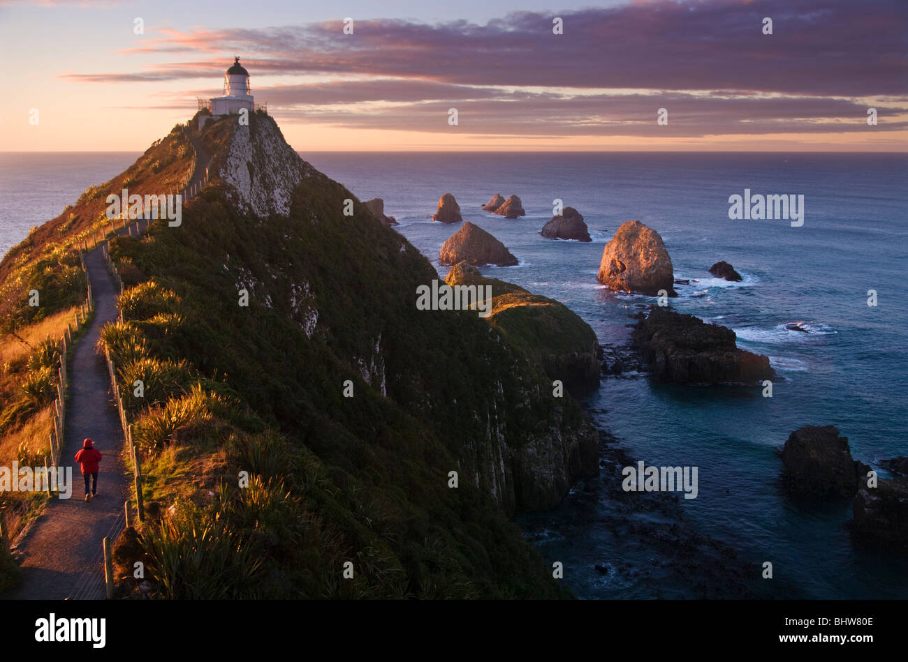 Nugget Point lighthouse in early morning light. A walker is on the ...