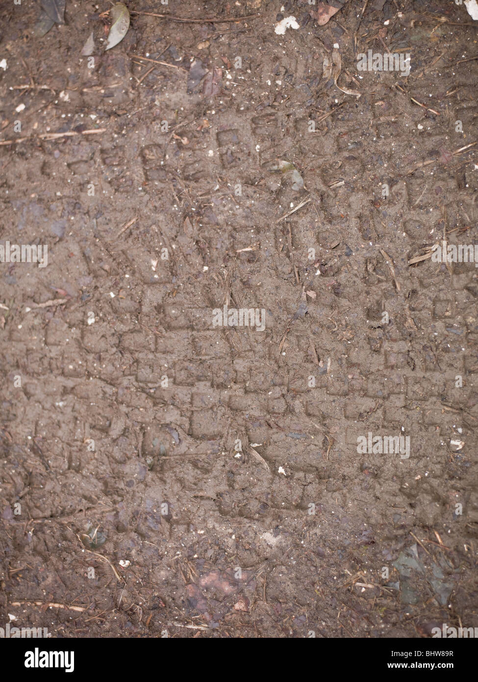 Bicycle track marks in the mud Stock Photo - Alamy