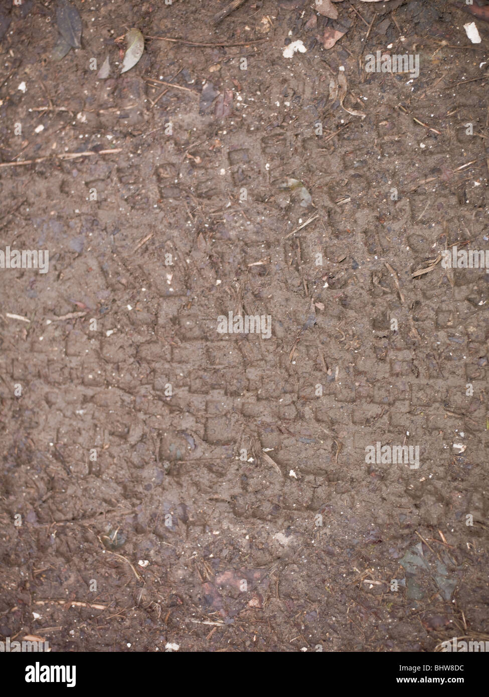 Track Marks High Resolution Stock Photography and Images - Alamy