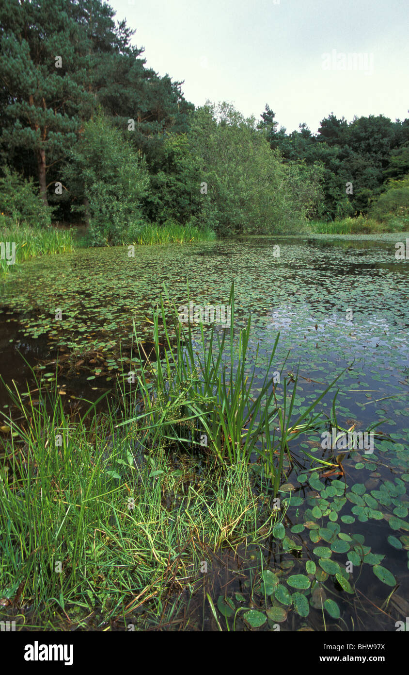 Bardney hi-res stock photography and images - Alamy