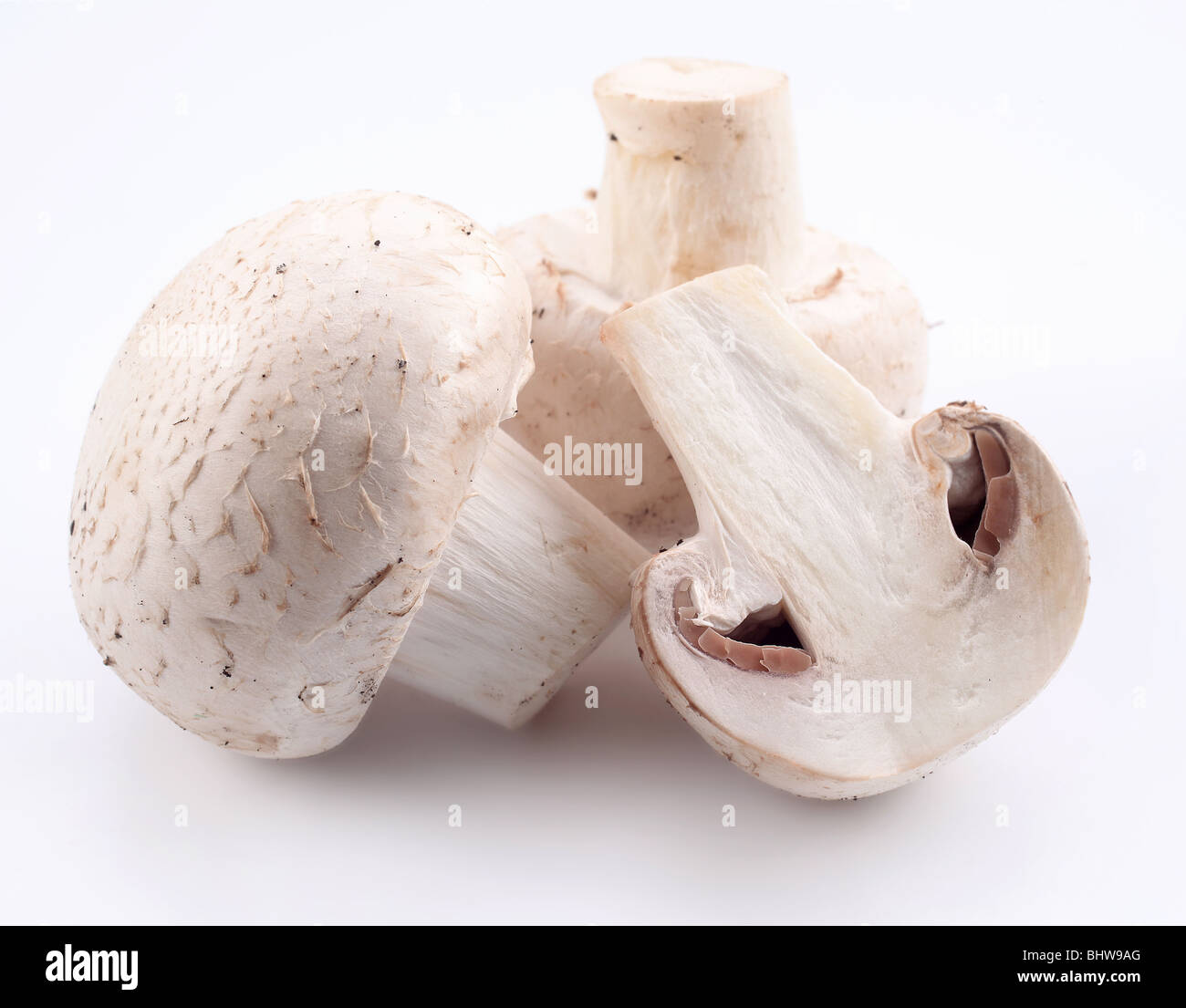 Champignons High Resolution Stock Photography and Images - Alamy