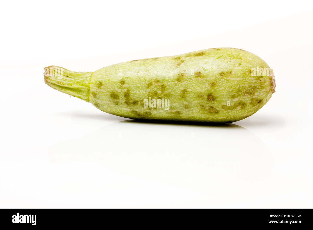 Baby white Marrow popular in Indian / Asian cooking isolated against ...