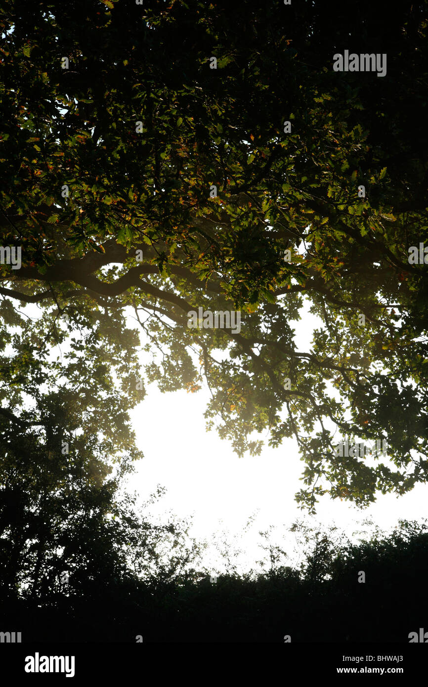 Shafts shaft of light hi-res stock photography and images - Alamy