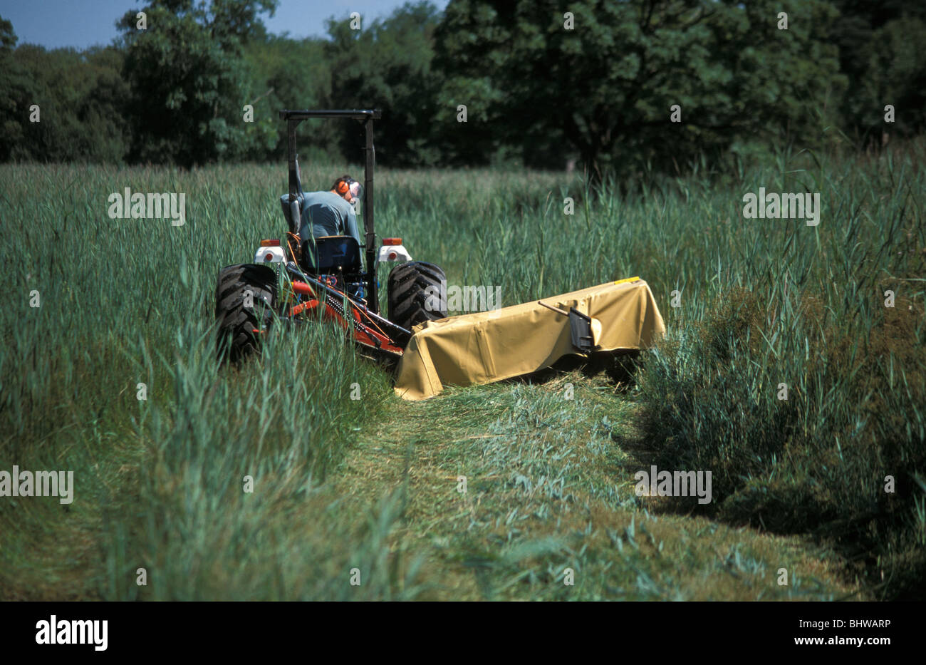 Chippenham fen national nature reserve hi-res stock photography and ...