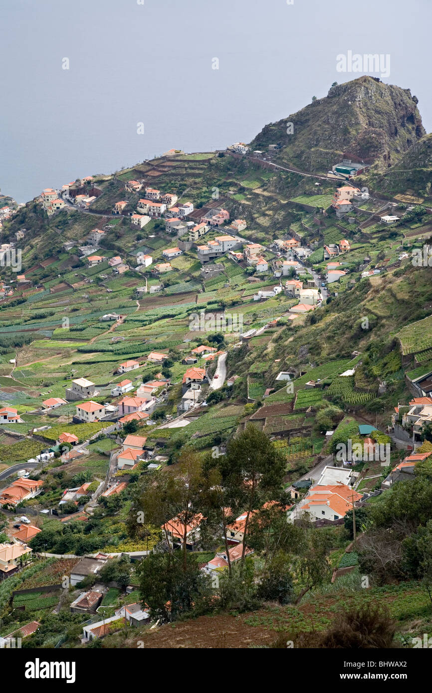 Terraced fields farming madeira hi-res stock photography and images - Alamy
