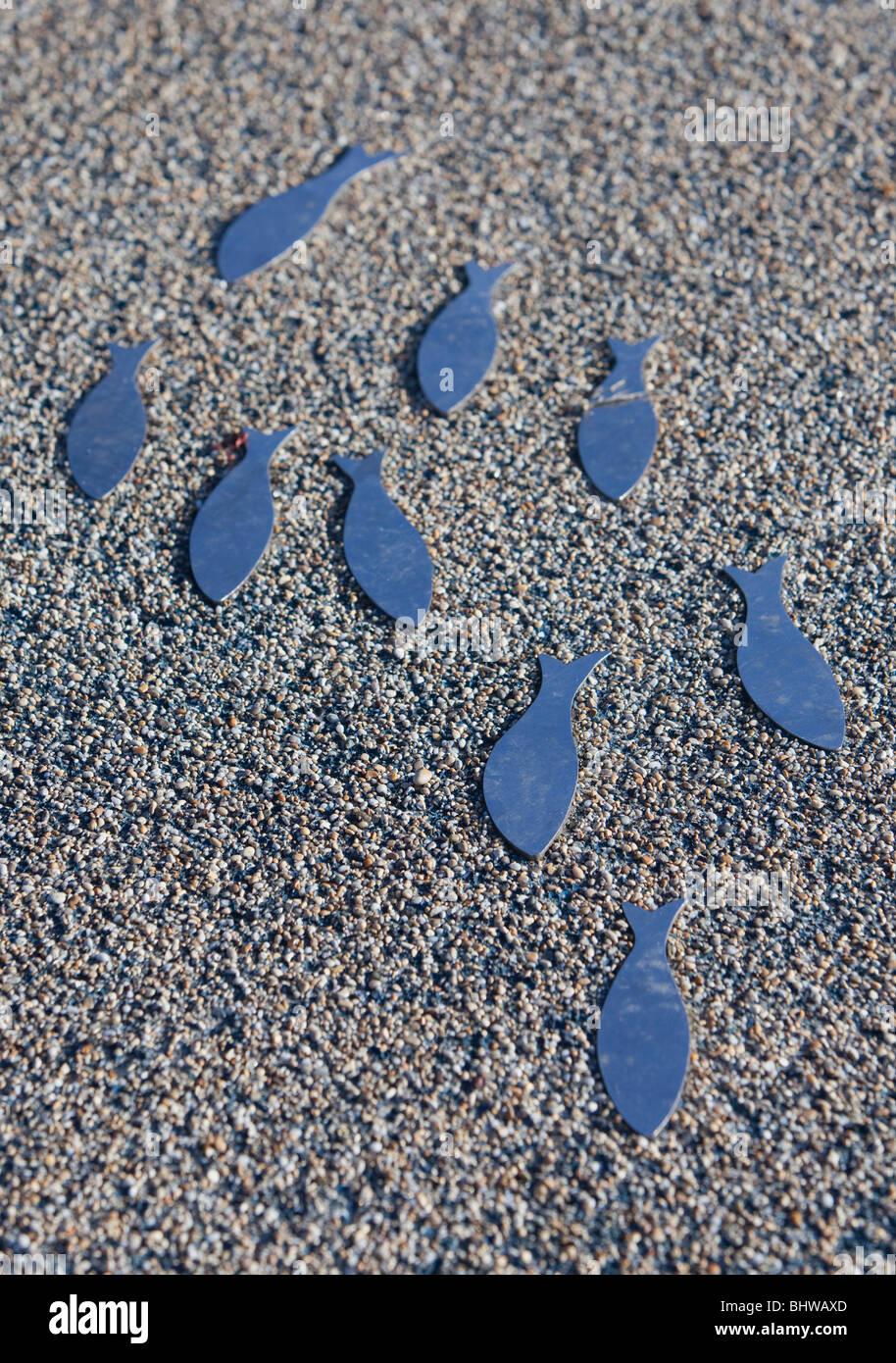 fish on pavement Stock Photo - Alamy