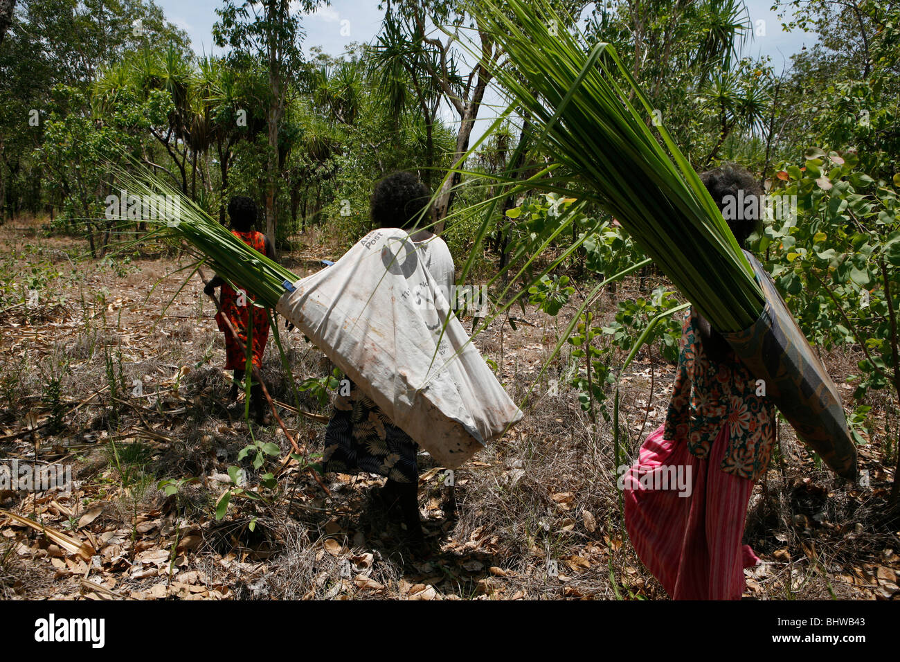 Aboriginal women australia arnhem land hi-res stock photography and ...