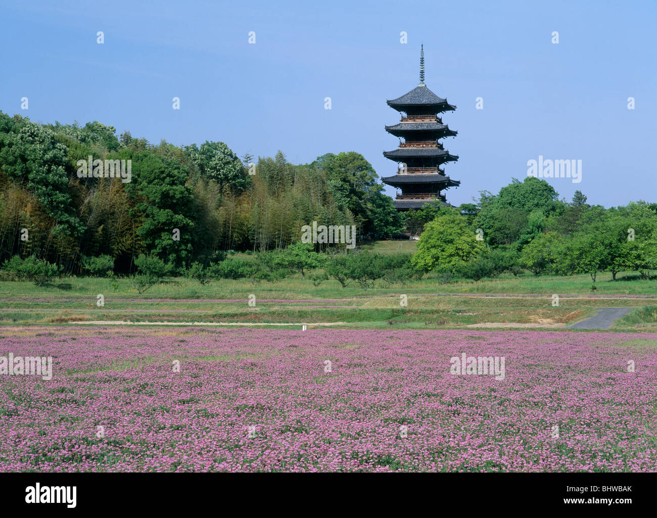 Five Story Pagoda of Bitchu Kokubunji Temple, Soja, Okayama, Japan ...