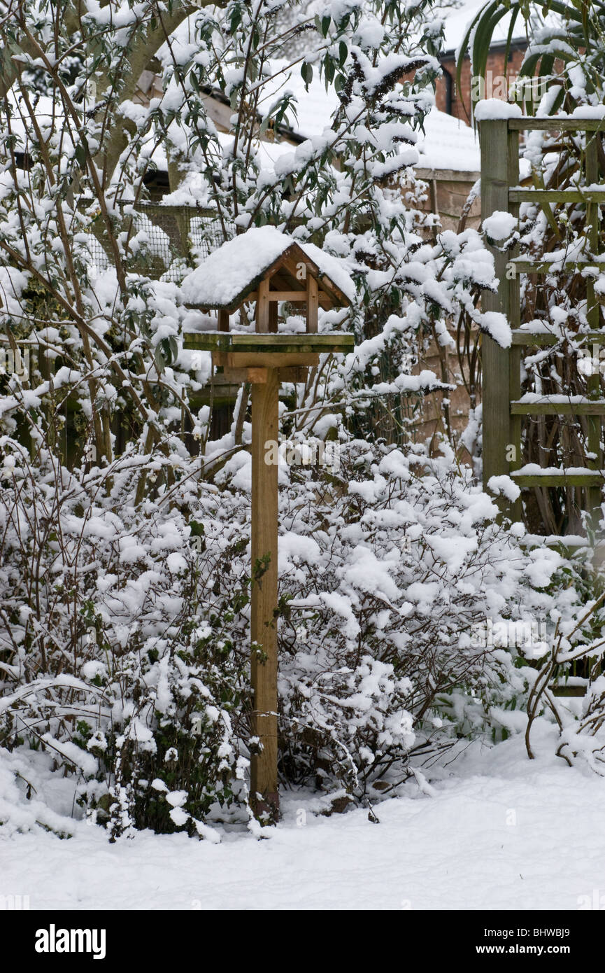 Garden birds feeding hi-res stock photography and images - Alamy
