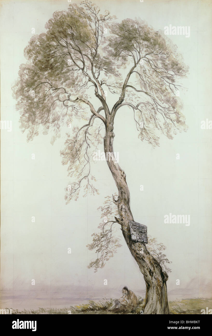 19th century tree painting hi-res stock photography and images - Alamy