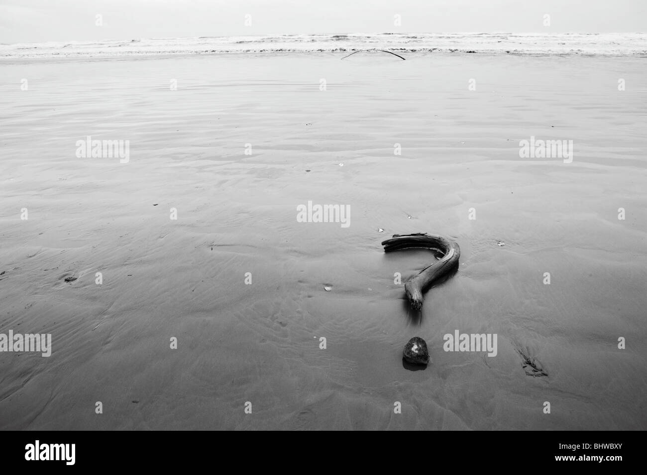 Question mark in nature hi-res stock photography and images - Alamy