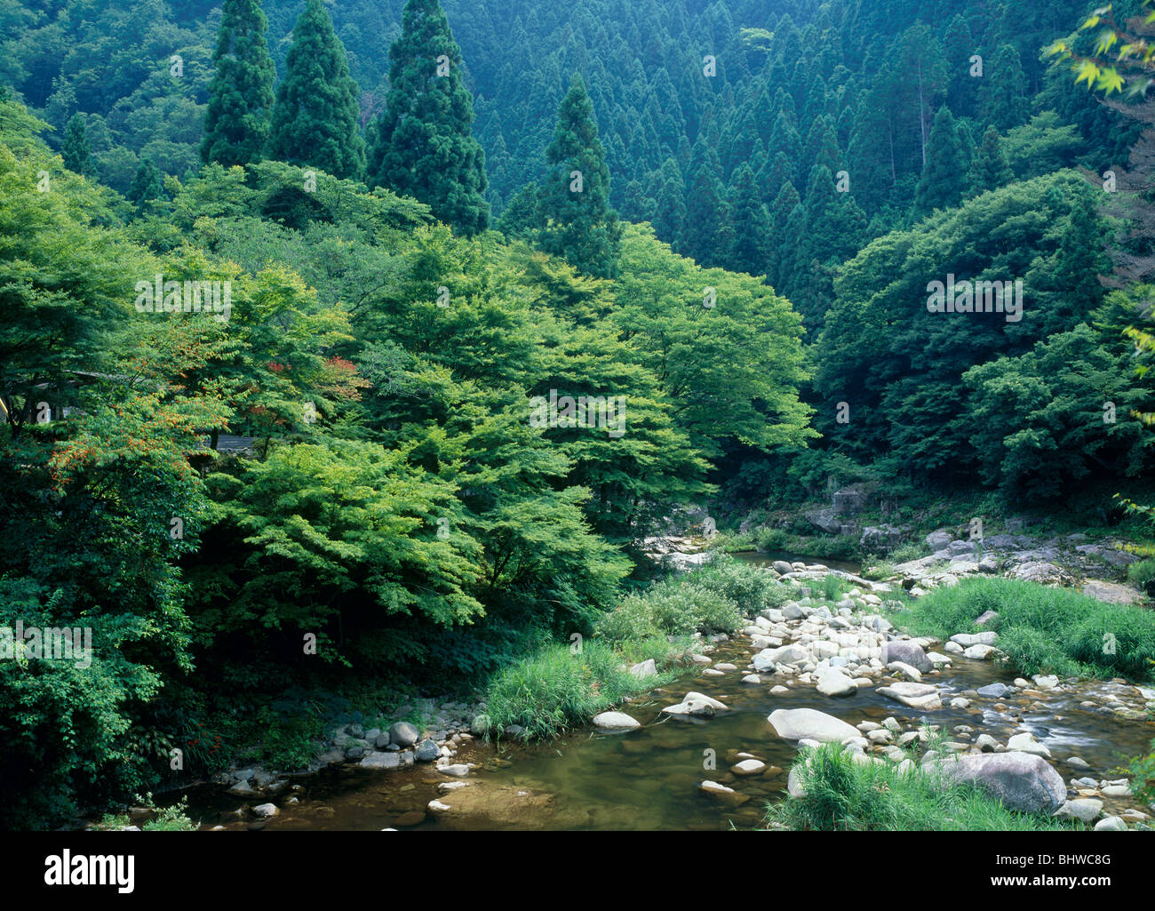 Okutsu Gorge, Kagamino, Okayama, Japan Stock Photo - Alamy