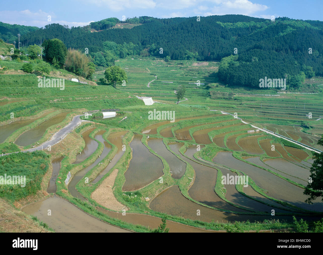 Oohaganishi tanada hi-res stock photography and images - Alamy
