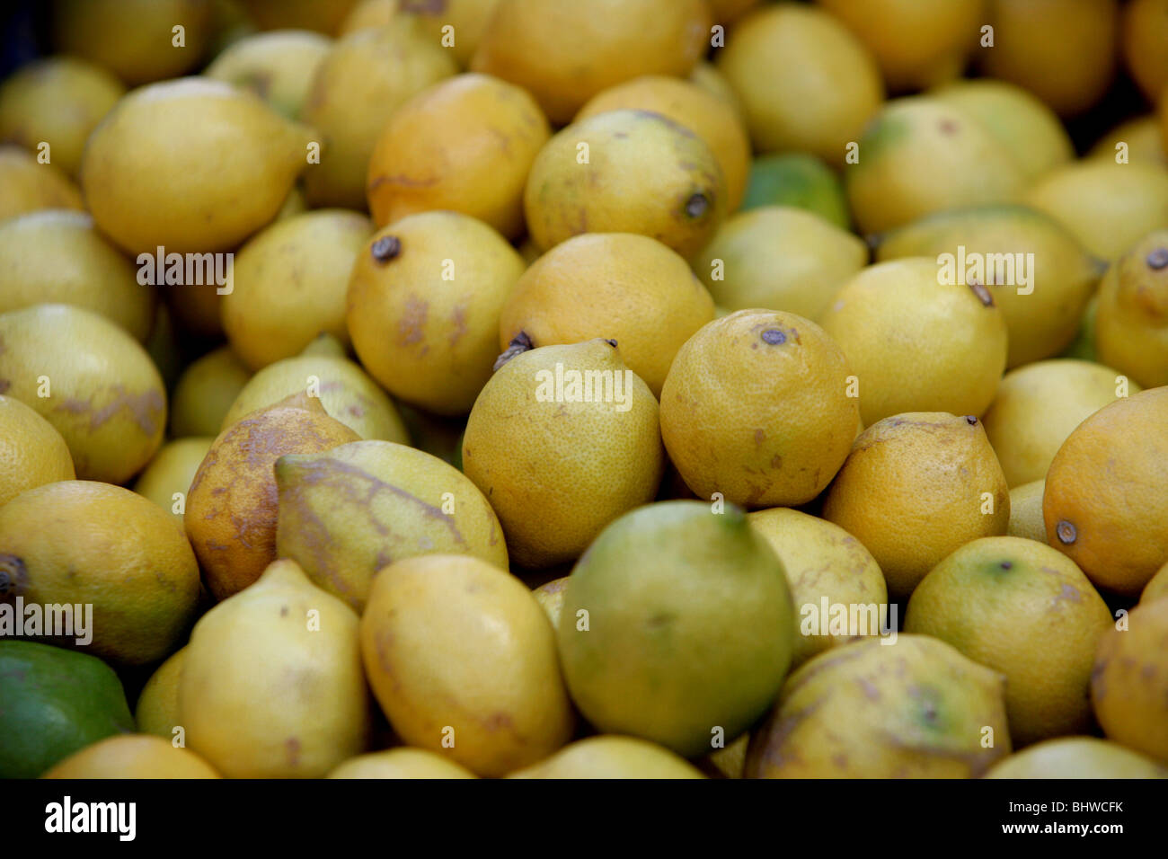 A pile of lemons Stock Photo - Alamy