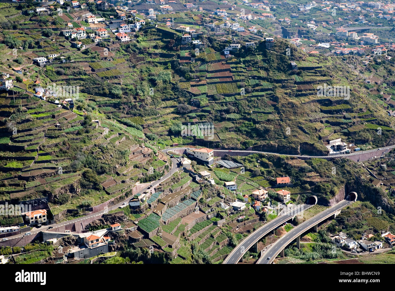Terraced fields farming madeira hi-res stock photography and images - Alamy