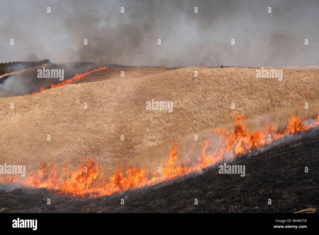 Mount Aso Stock Photos & Mount Aso Stock Images - Alamy