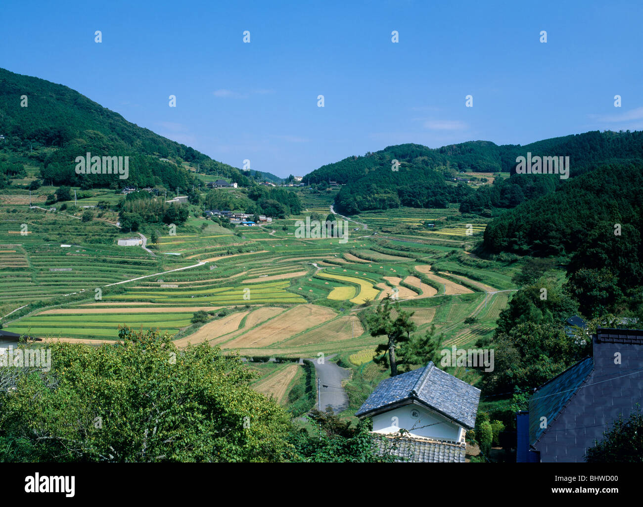Oohaganishi Terraced Rice Paddies, Misaki, Okayama, Japan Stock Photo ...