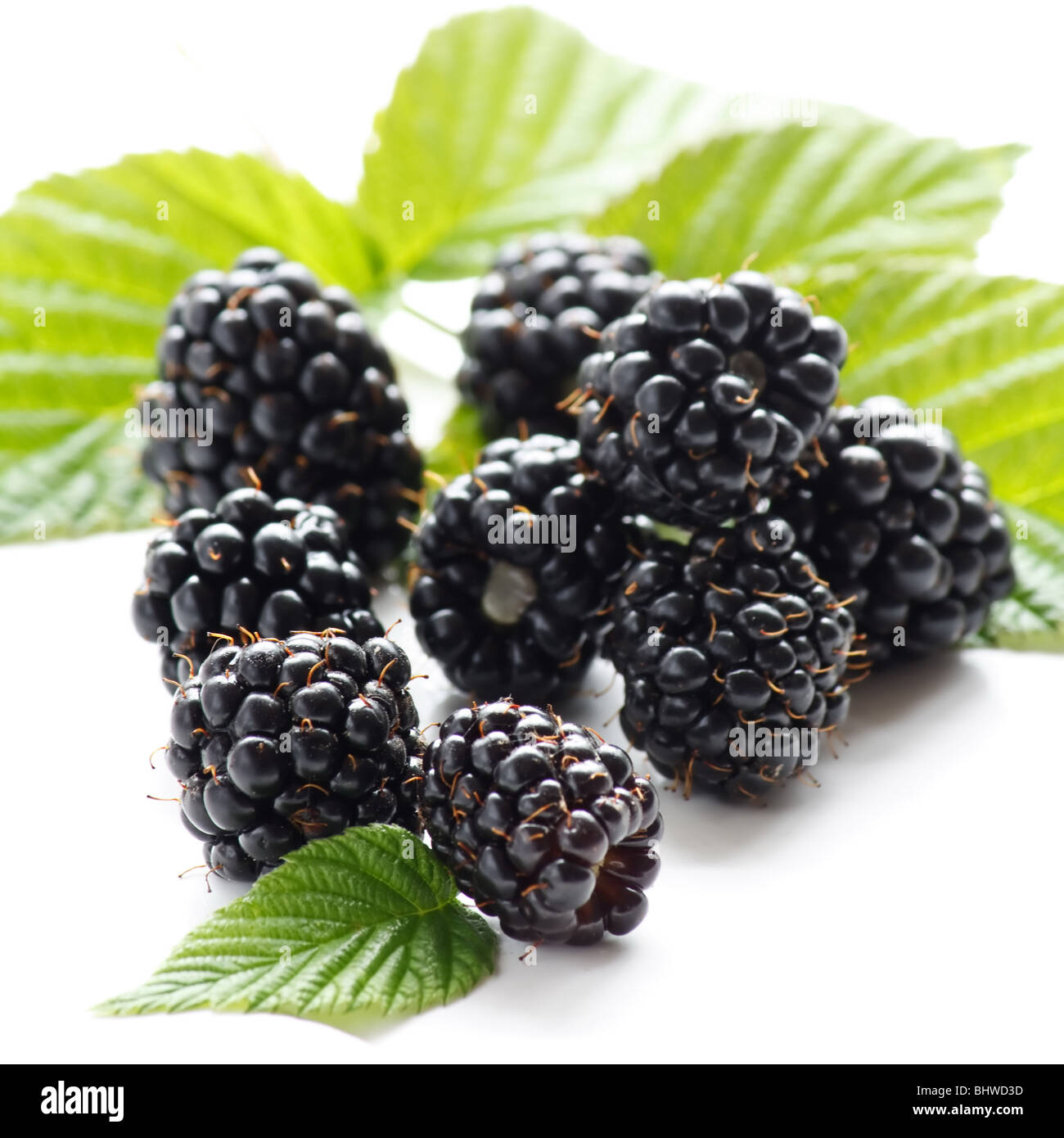 Dewberries hi-res stock photography and images - Alamy