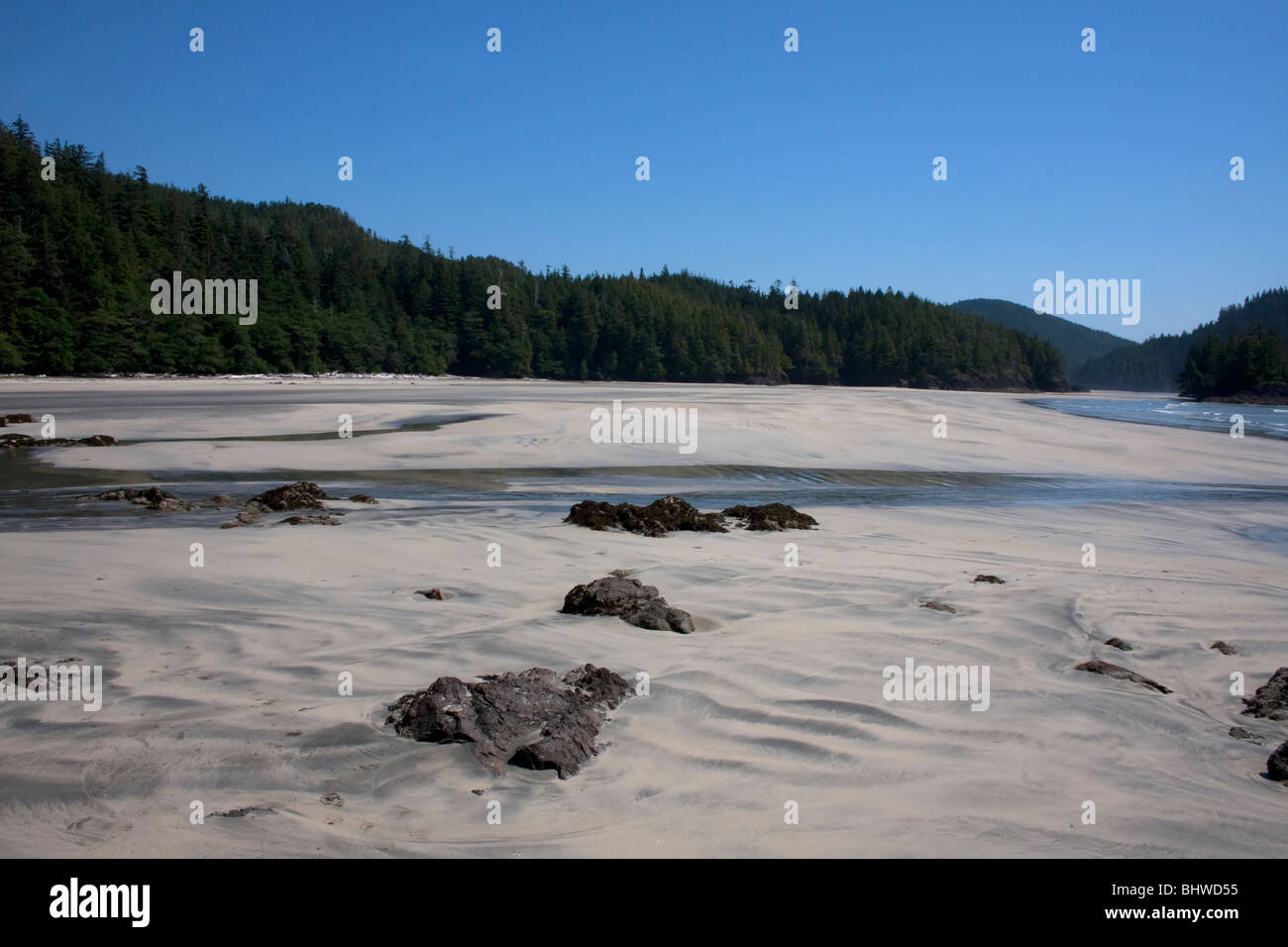 A deserted beach scene at St. Josef Bay Vancouver Island BC Canada in ...